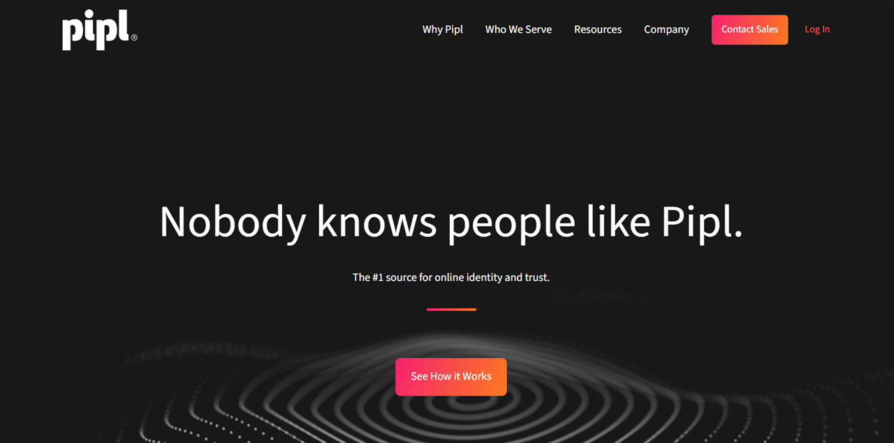 Pipl Pricing: Maximizing Your Return on Investment